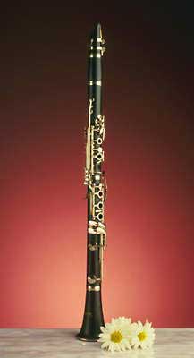 Sunnyvale Piano Guitar Lessson Clarinet - Sunnyvale Piano Guitar Lessson